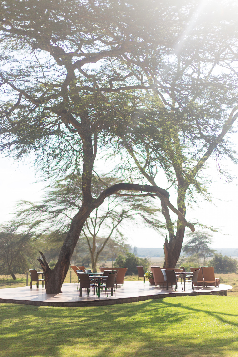 OUR HONEYMOON, PART FOUR: SOLIO LODGE | Design Darling