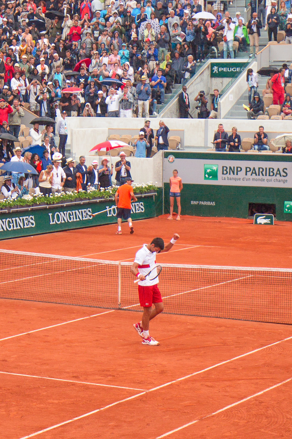 THE FRENCH OPEN | Design Darling