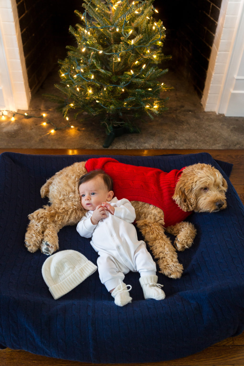 THREE MONTHS WITH TEDDY | Design Darling