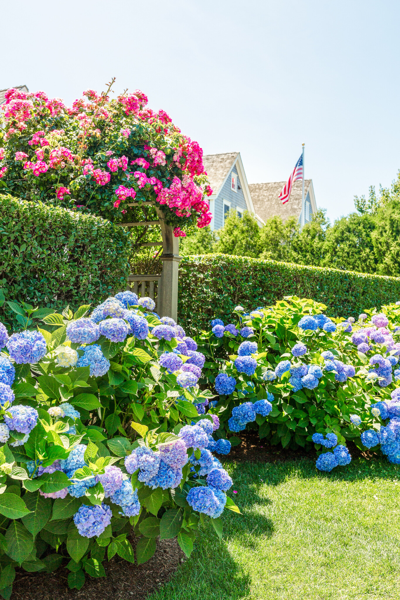 THE BEST PLACES TO SEE HYDRANGEAS ON NANTUCKET | Design Darling